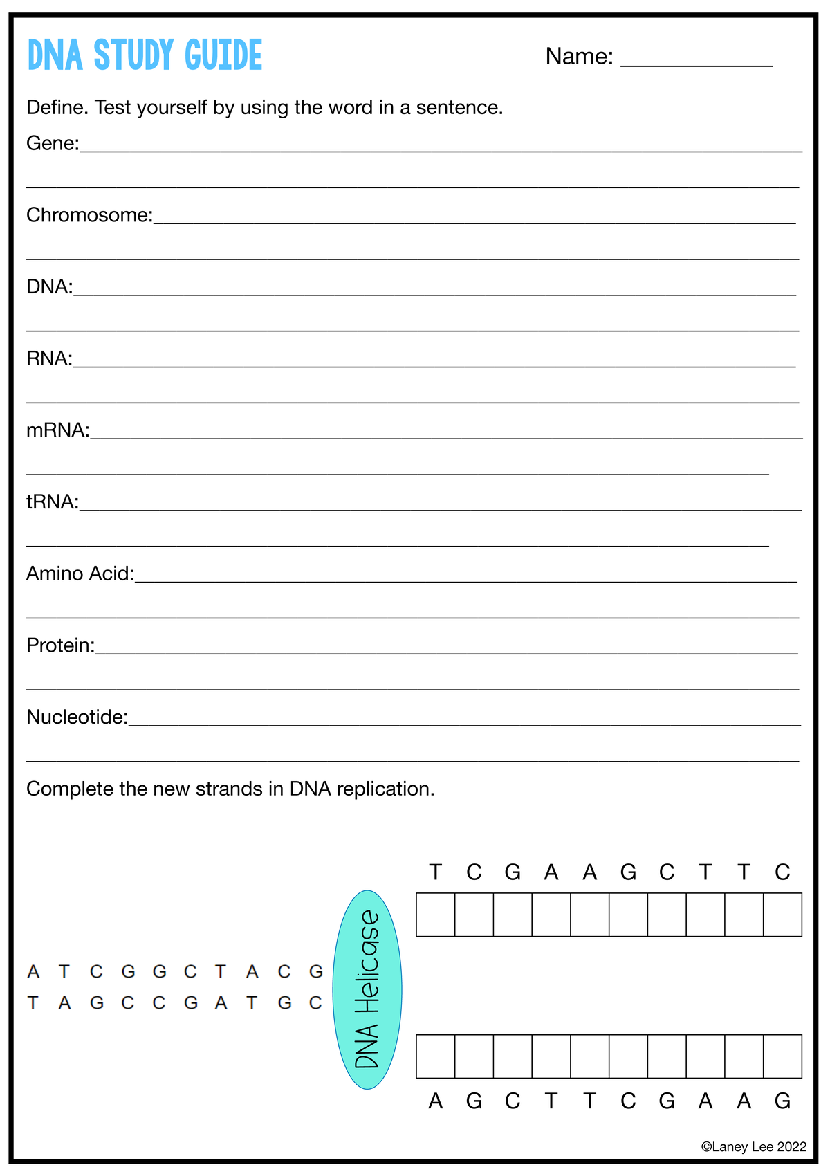 DNA Study Guide - Key Concepts and Processes (Lee 2022) - Studocu