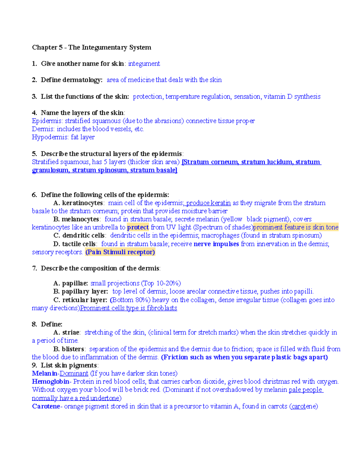 Chapter 5 Notes: The Integumentary System Overview - Studocu