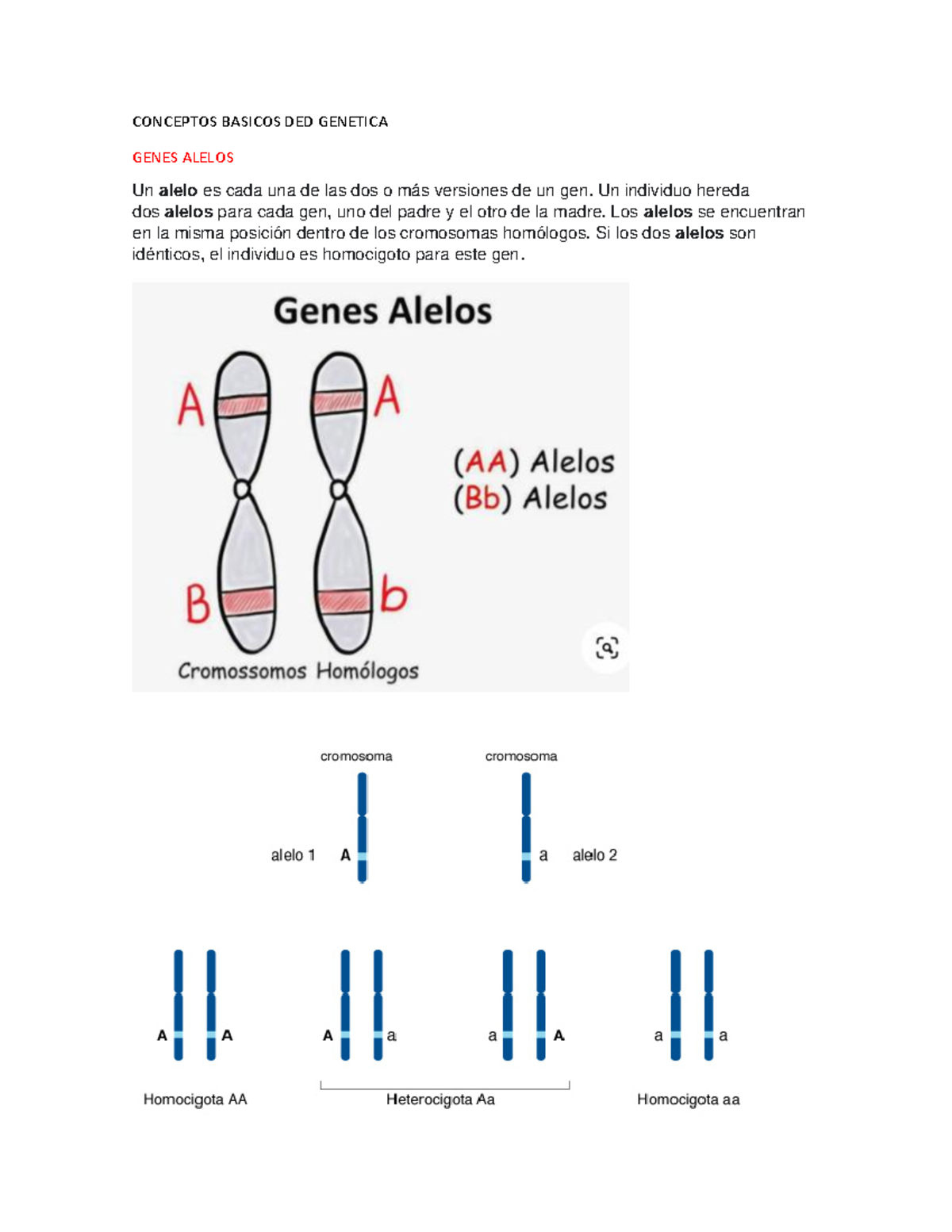 Alelos Y Genes