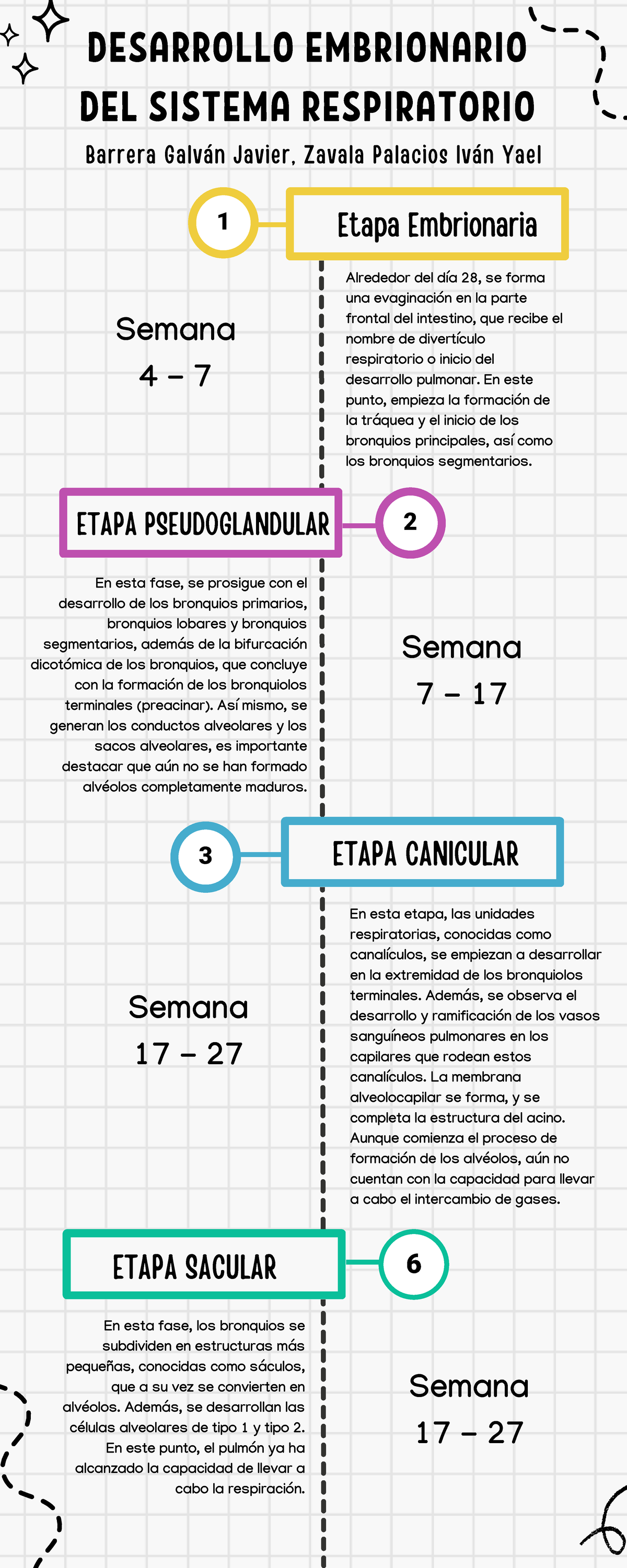 Desarrollo Embrionario del Sistema Respiratorio - SR 2023 - Studocu
