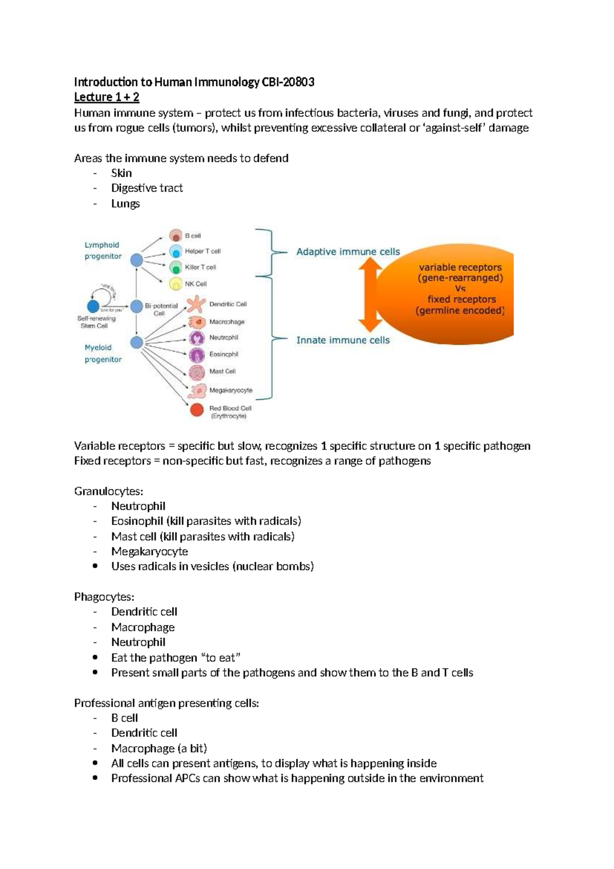 Introduction to Human Immunology CBI-20803 Lecture Notes - Studeersnel