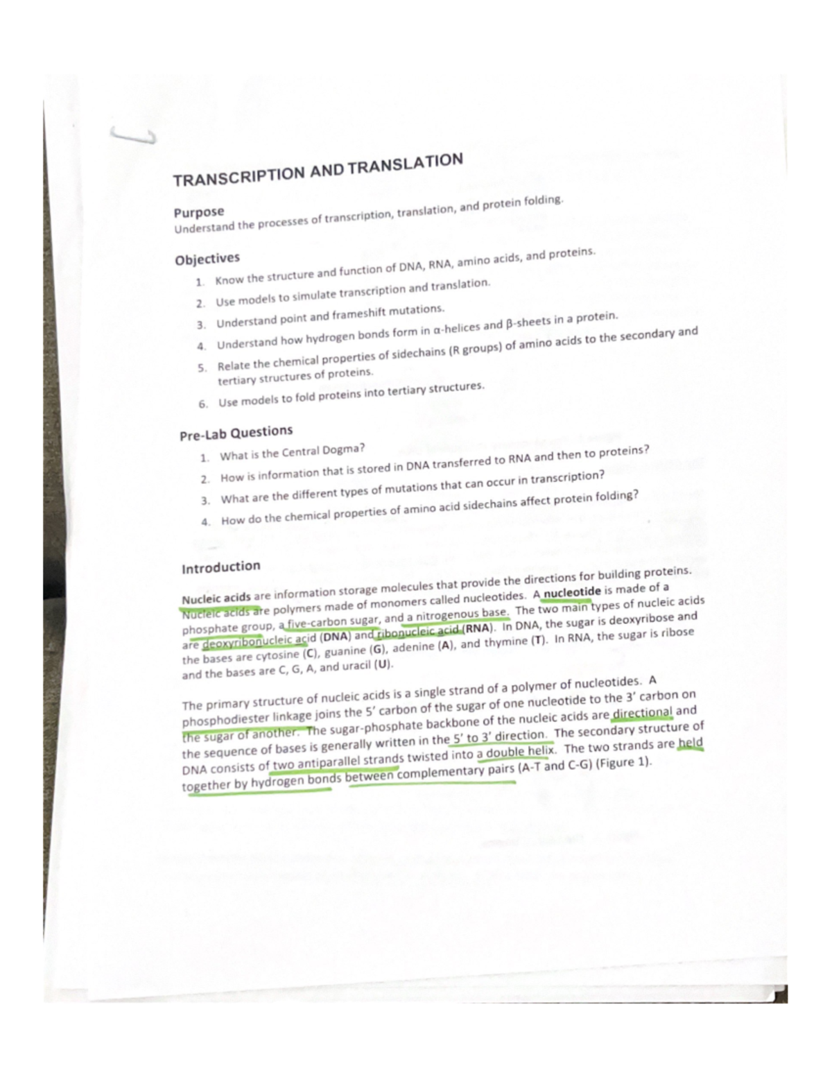 Transcription and Translation - BIO 181 - Studocu