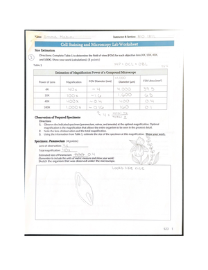 Macromolecules worksheet 12825 - Structure and Functions of Macromolecules Lab Worksheet ...