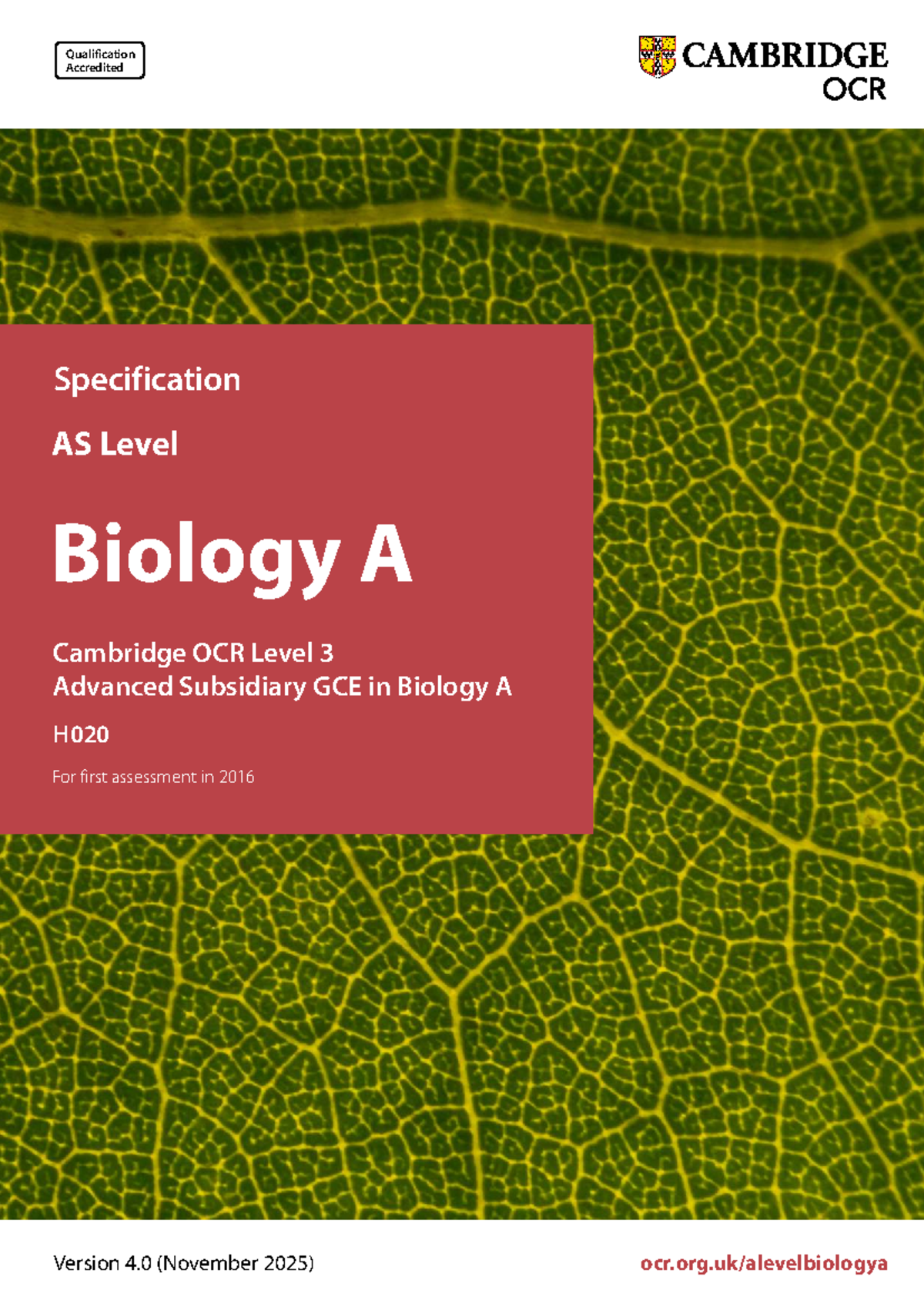 AS Level GCE Biology A H020 Specification Overview (Version 4.0) - Studocu