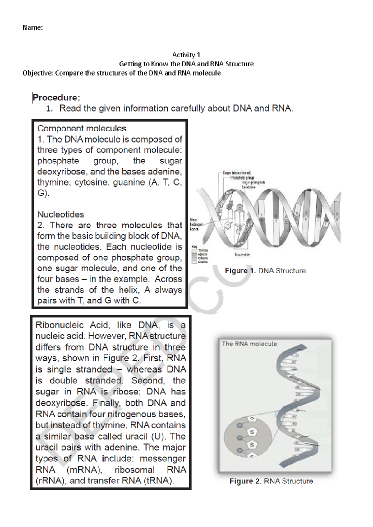 Activity in DNA and RNA - Science - Name: Activity 1 Getting to Know ...
