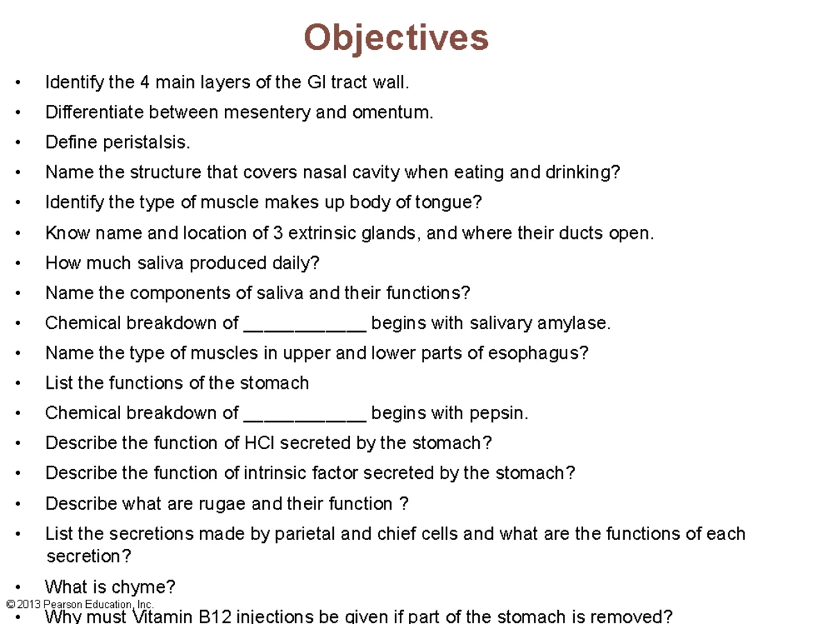 Digestive System Overview: Functions & Processes (BIO 101) - Studocu