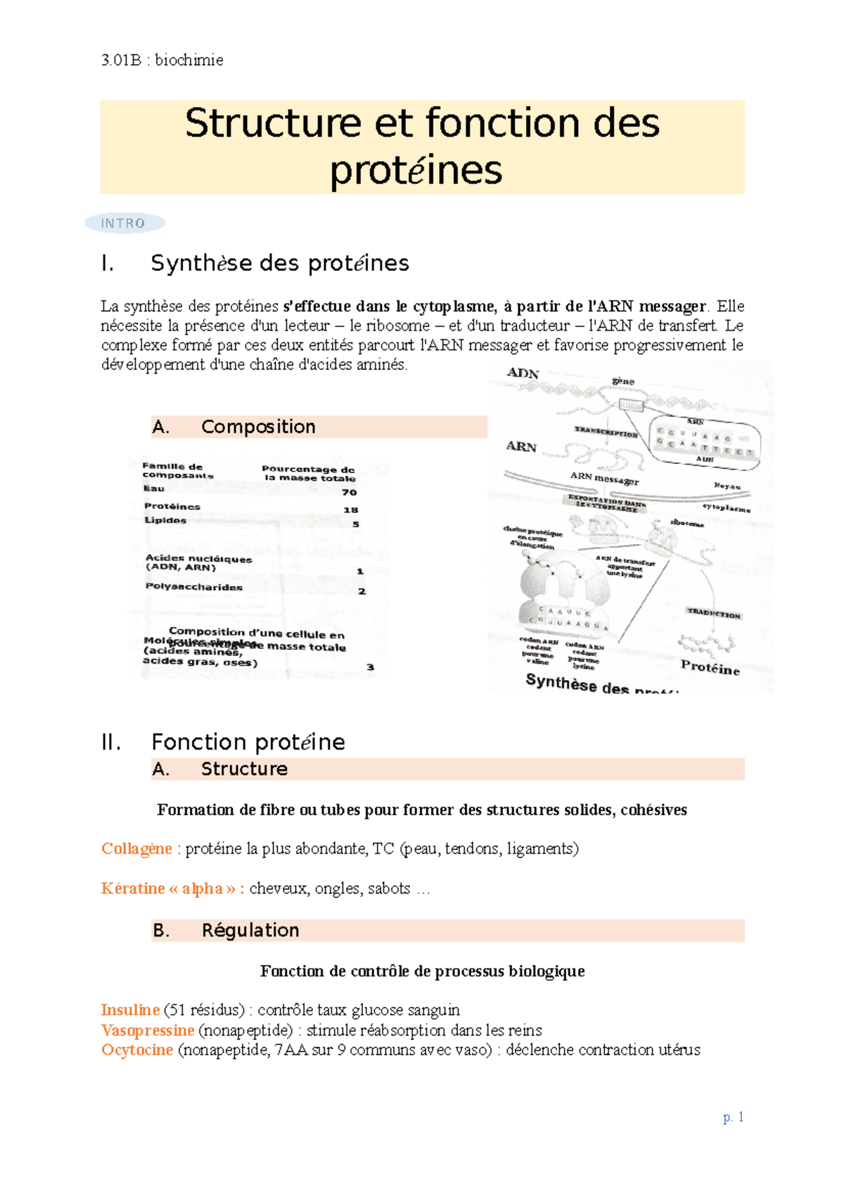 L2/3.01B : Synthèse, Structure et Fonction des Protéines - Studocu
