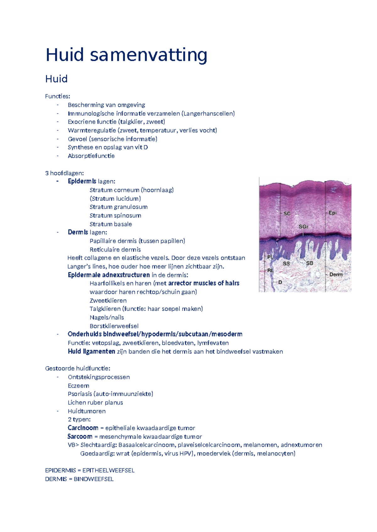 Huid en Weefsel Samenvatting - Anatomie en Functies (Biologie 101 ...