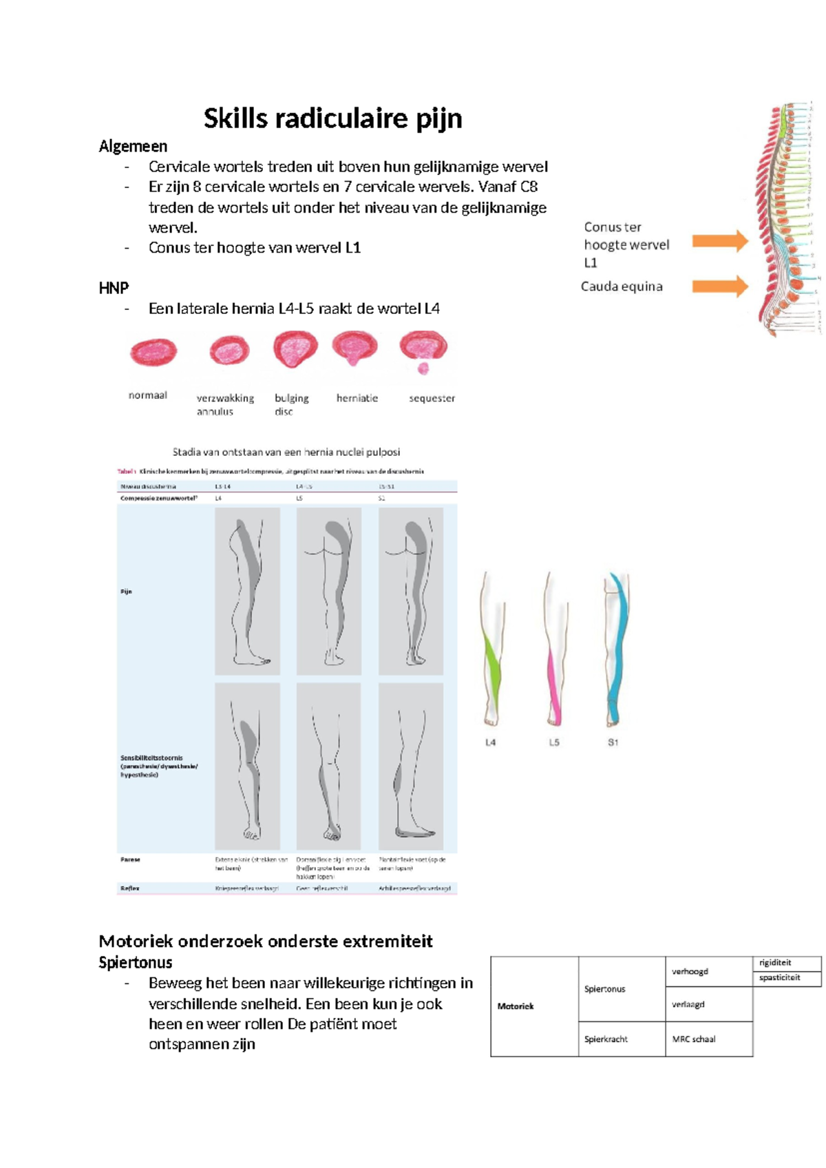 Cervicale Wortels en Onderste Extremiteit: Skills Radiculaire Pijn ...