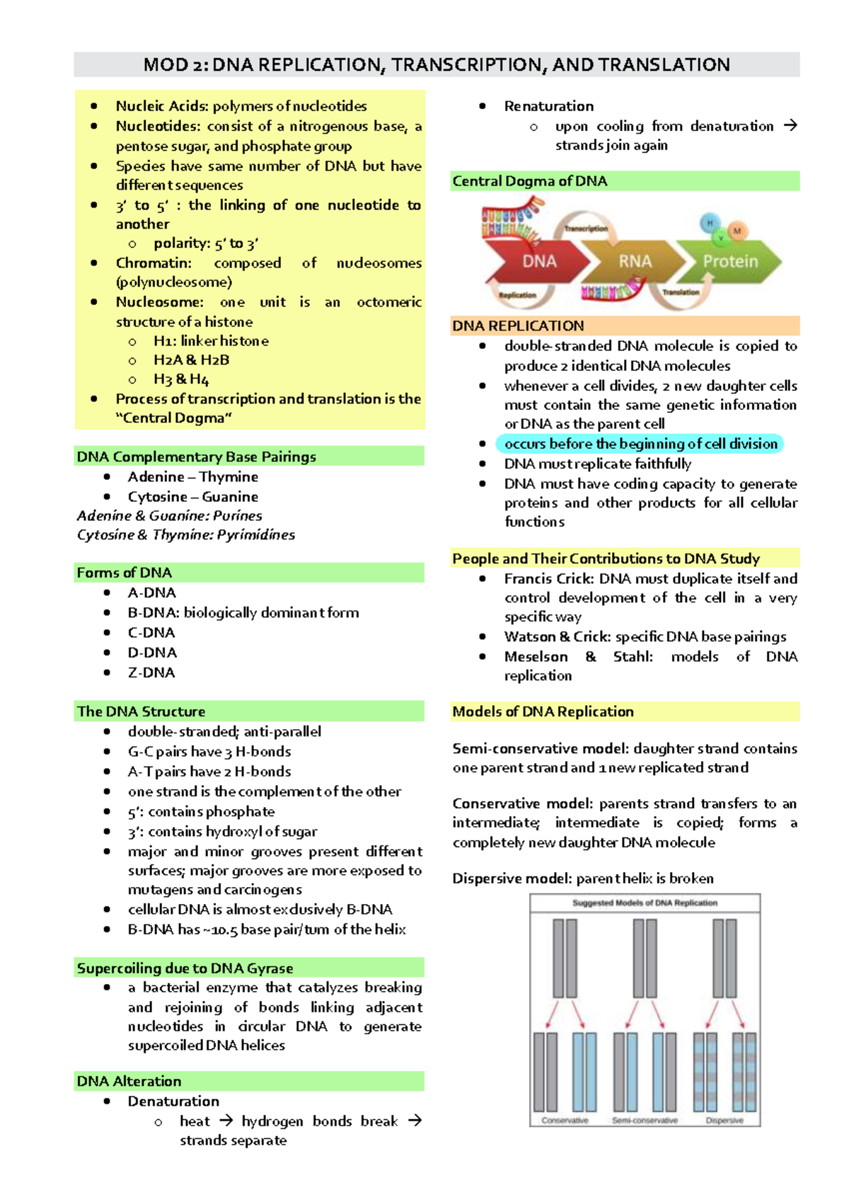 DNA Replication Transcription AND Translation - MOD 2: DNA REPLICATION ...