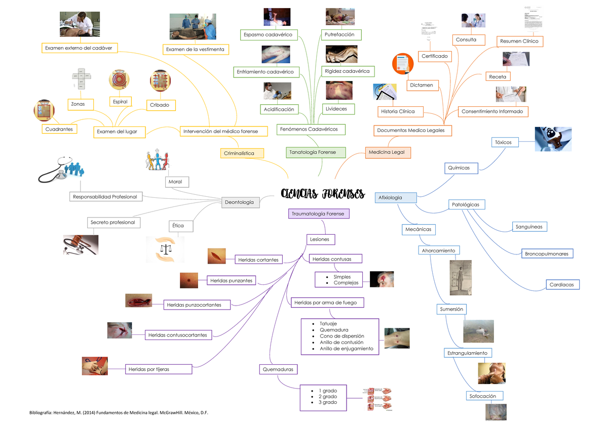 Mapa mental 2 - Aspectos de medicina legal - Warning: TT: undefined function: 32 Lesiones ...