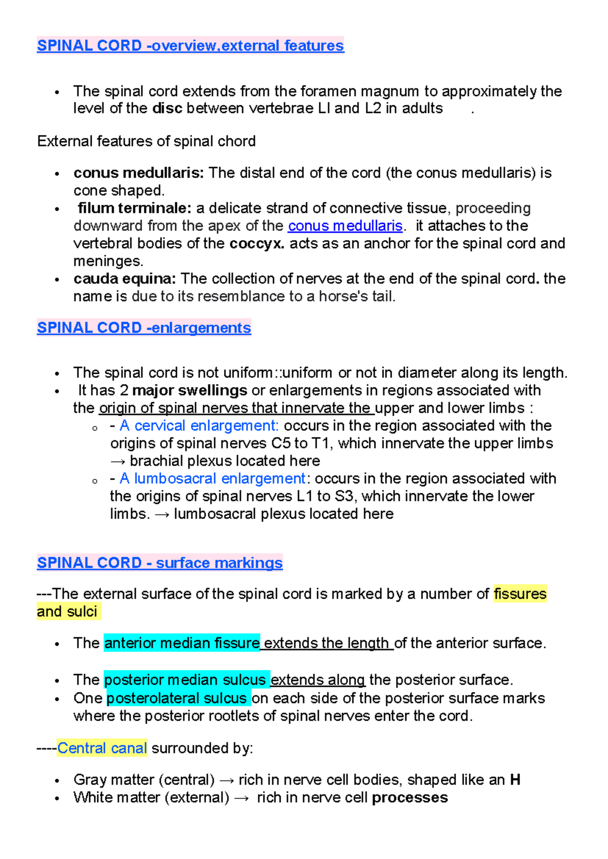 Spinal Cord Anatomy Overview and Key Features (Anatomy 101) - Studocu