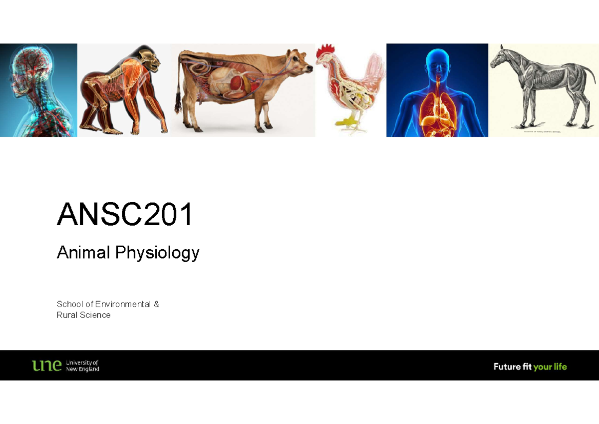 ANSC201 - Physiology: Homeostasis and Body System Functions - ANSC ...