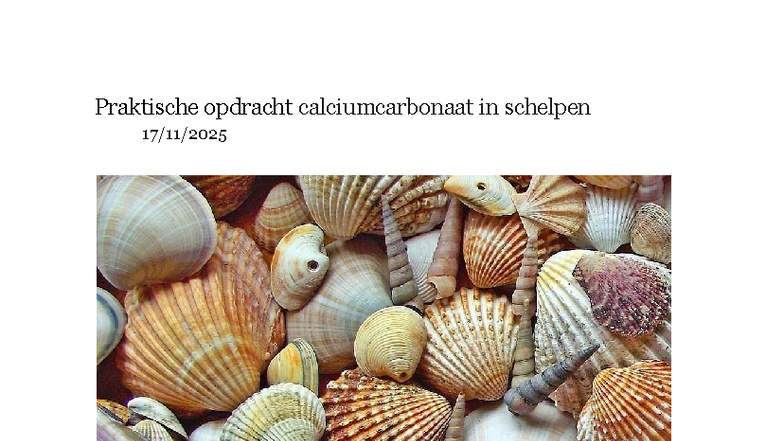 PO Calciumcarbonaatgehalte in Schelpen - Praktische Opdracht 4H4 ...