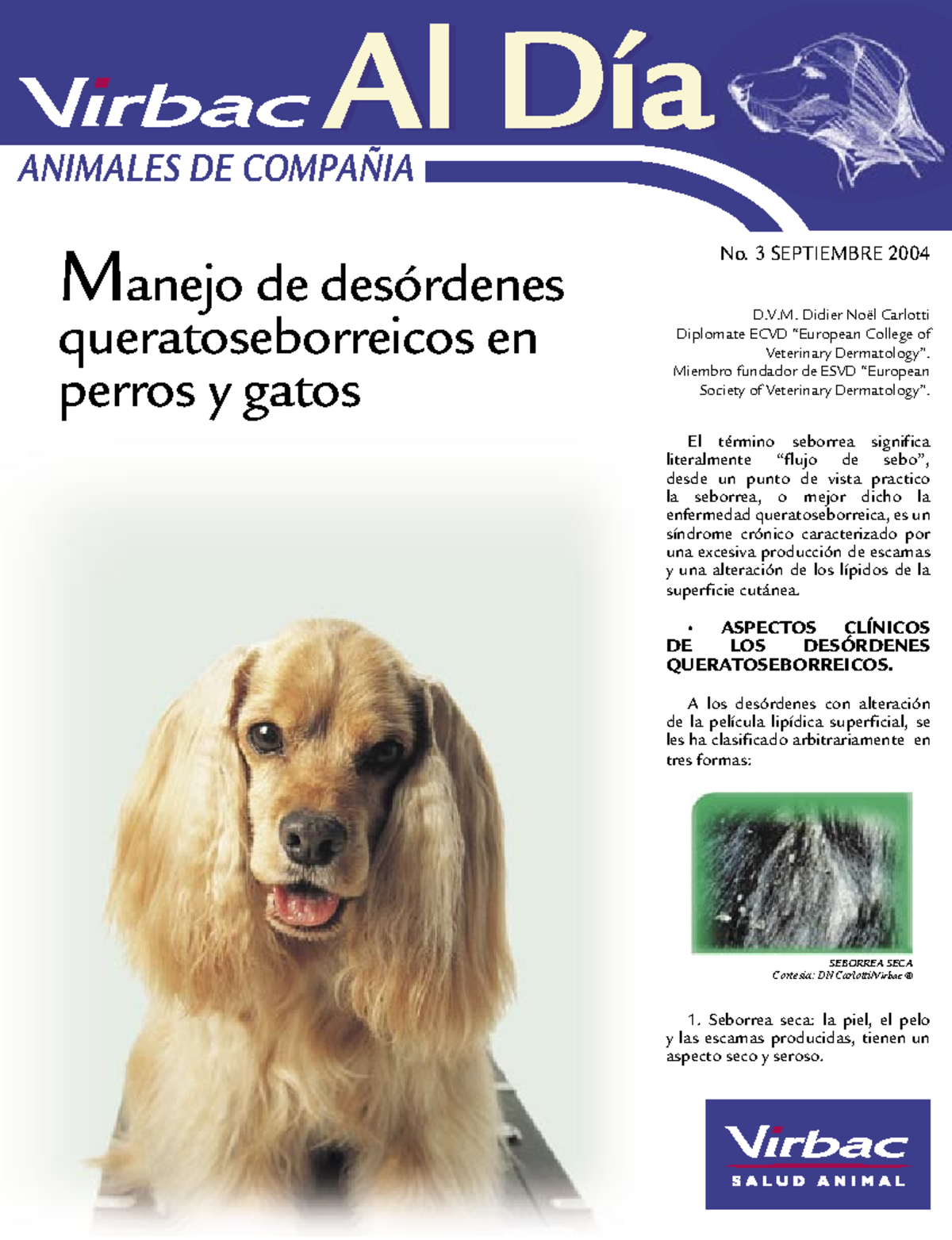 Dermatitis Seborreica en Animales de Compañía: Manejo y Tratamiento ...