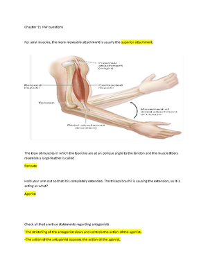 Chapter 3 workbook Cells and Tissues - The basic unit of structure and ...