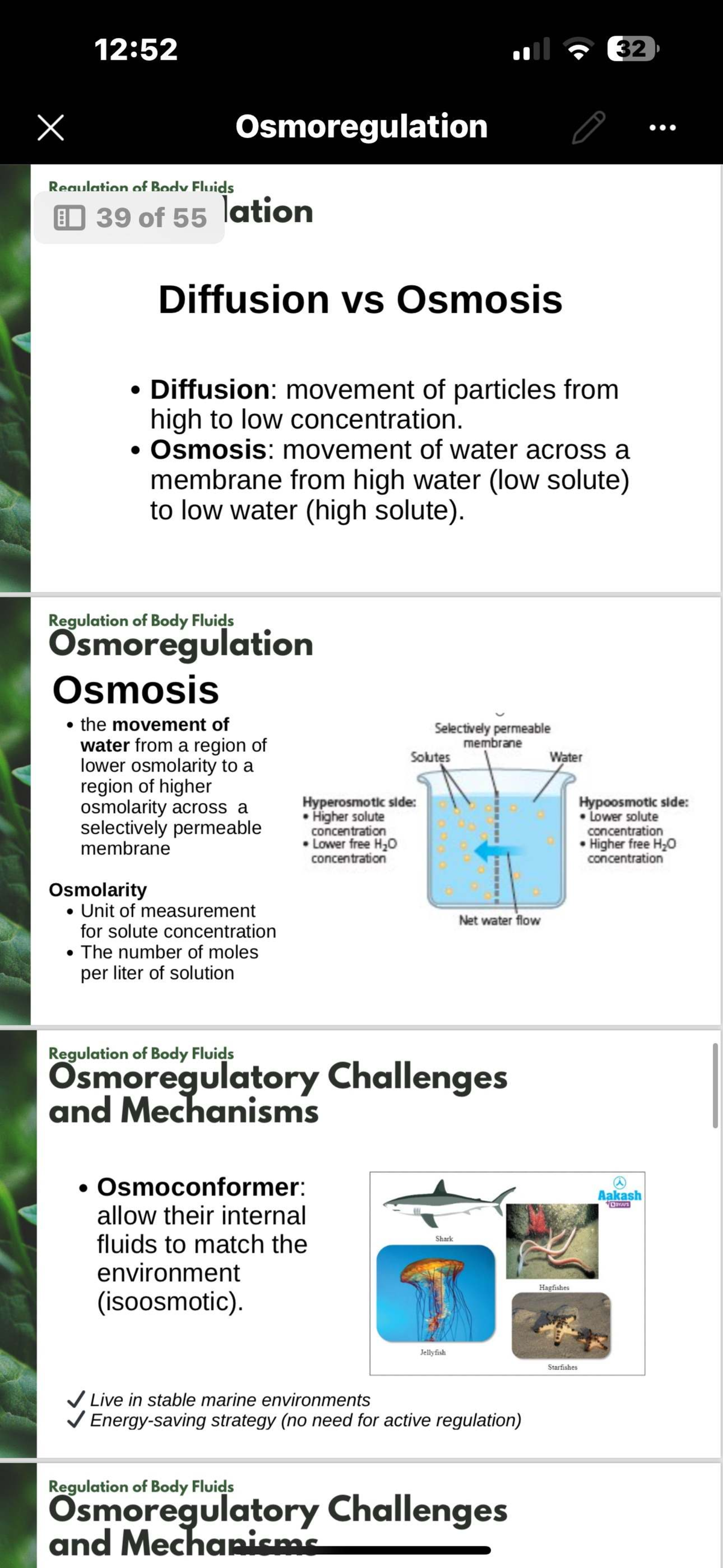 BIOL 101: Osmoregulation and Body Fluid Regulation Overview - Studocu