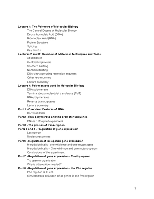 BIOC0005 timetable 2024-2025 - BIOC0005: Molecular Biology 2024 - 2025 ...