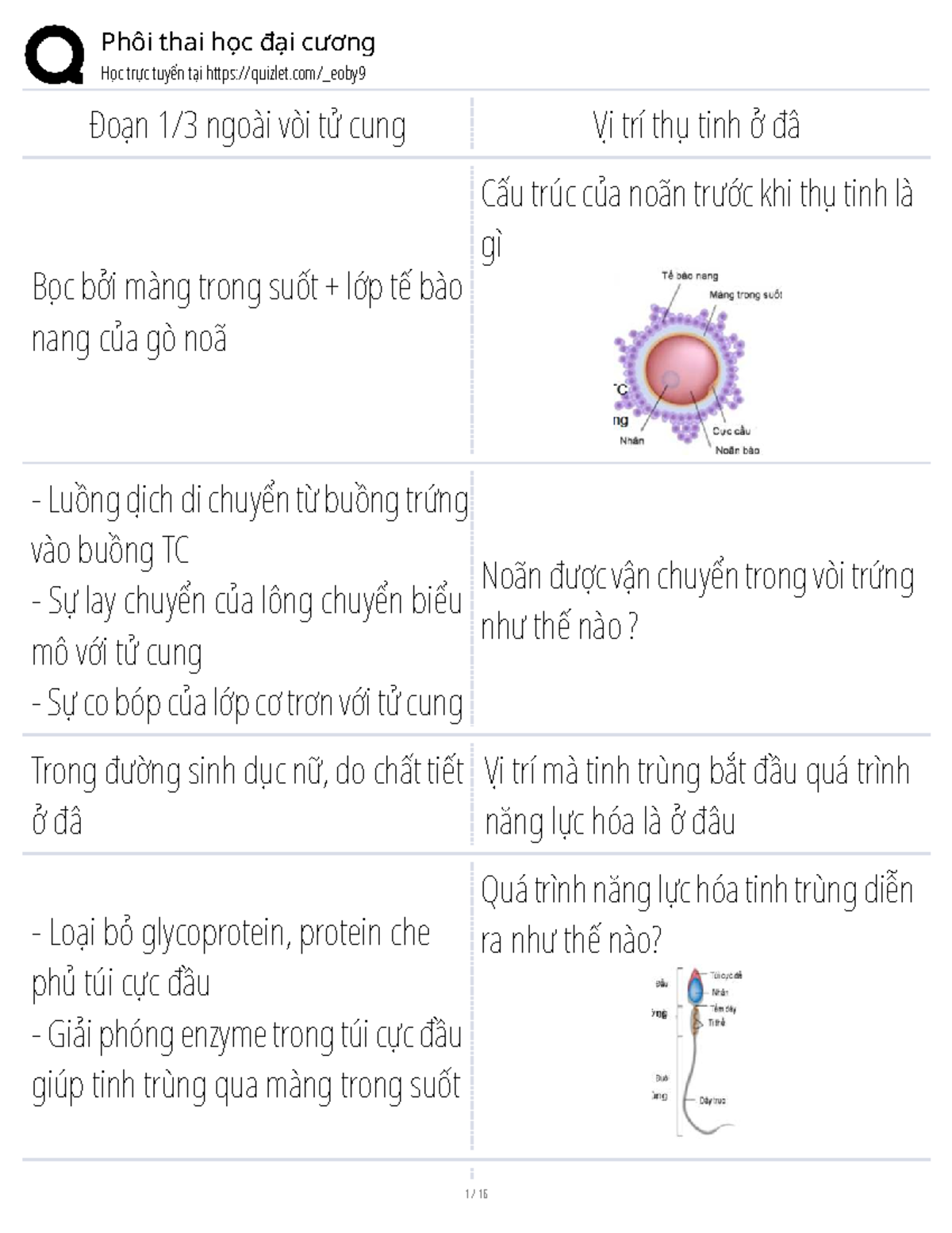 Phôi thai học đại cương: Tìm hiểu quá trình thụ tinh và phát triển phôi ...