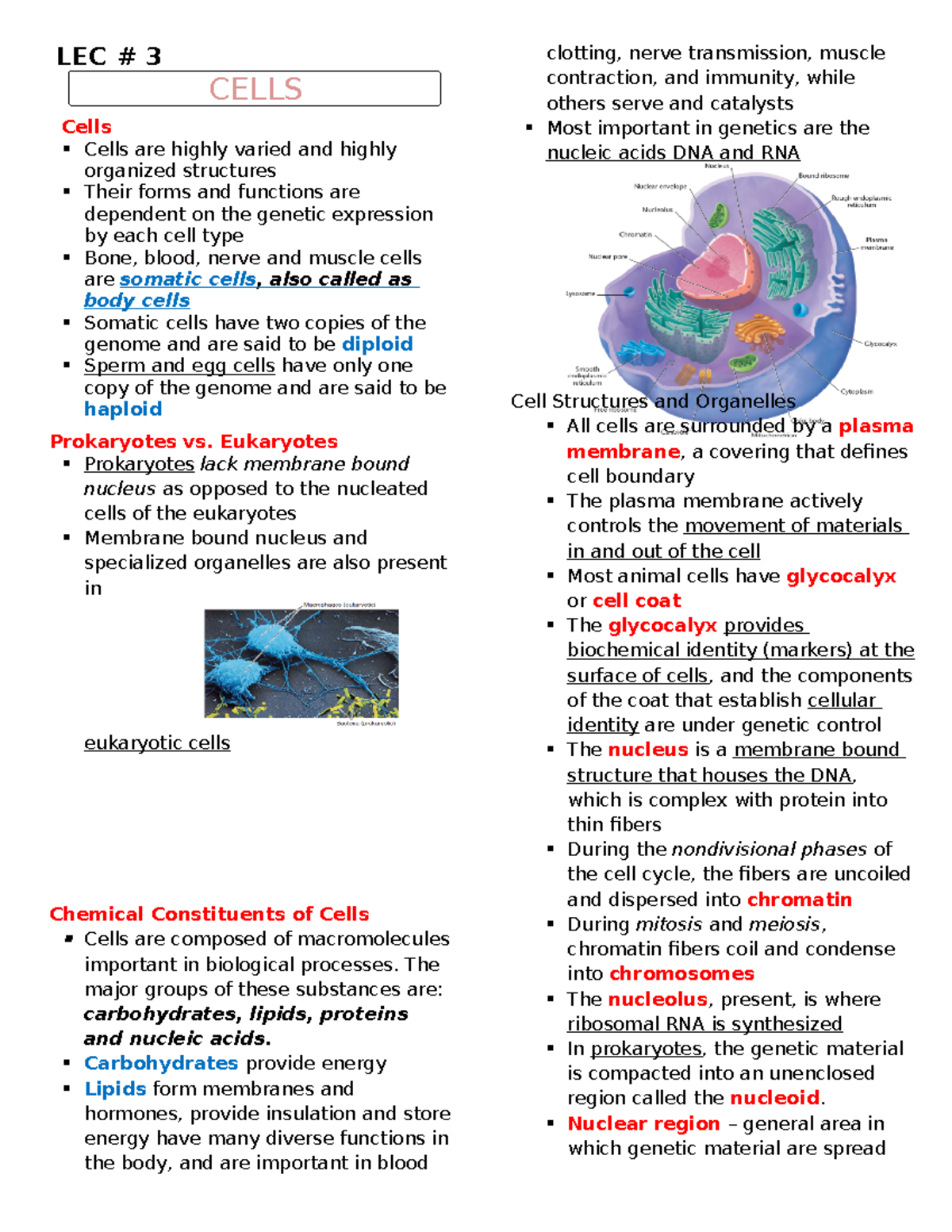#3 - Cells - awaawa - LEC # 3 CELLS Cells Cells are highly varied and ...