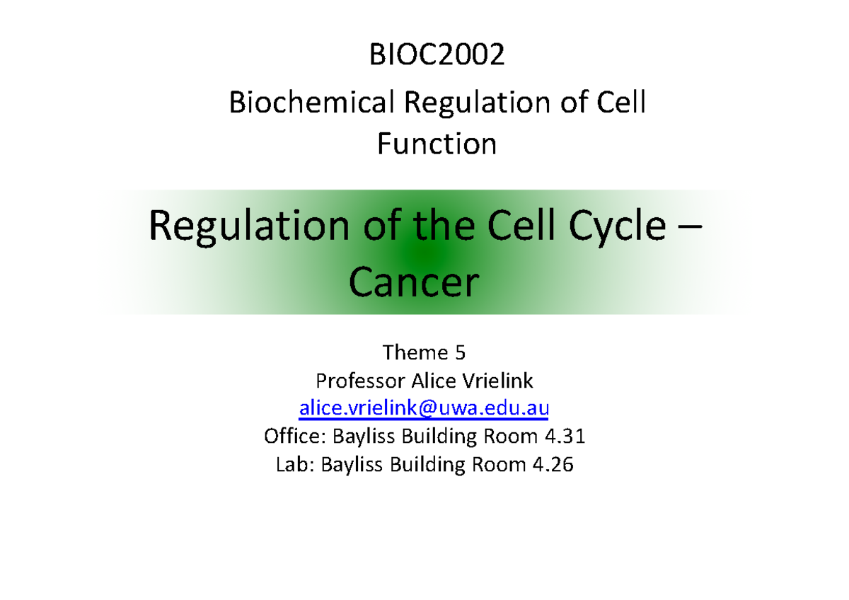 BIOC2002 Final Exam - Lecture 5: Cell Cycle Regulation & Cancer - Studocu