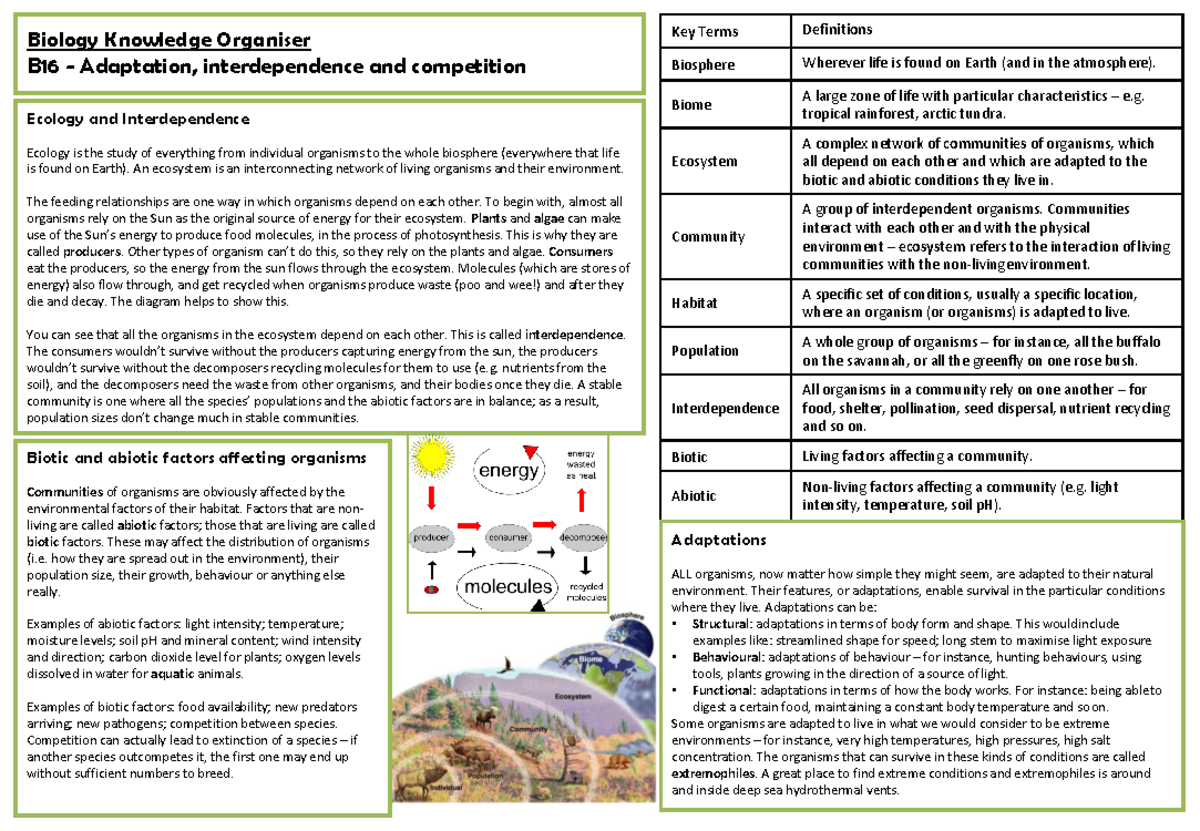 B16 - Ecology: Interdependence, Competition, and Adaptations Overview - Studocu