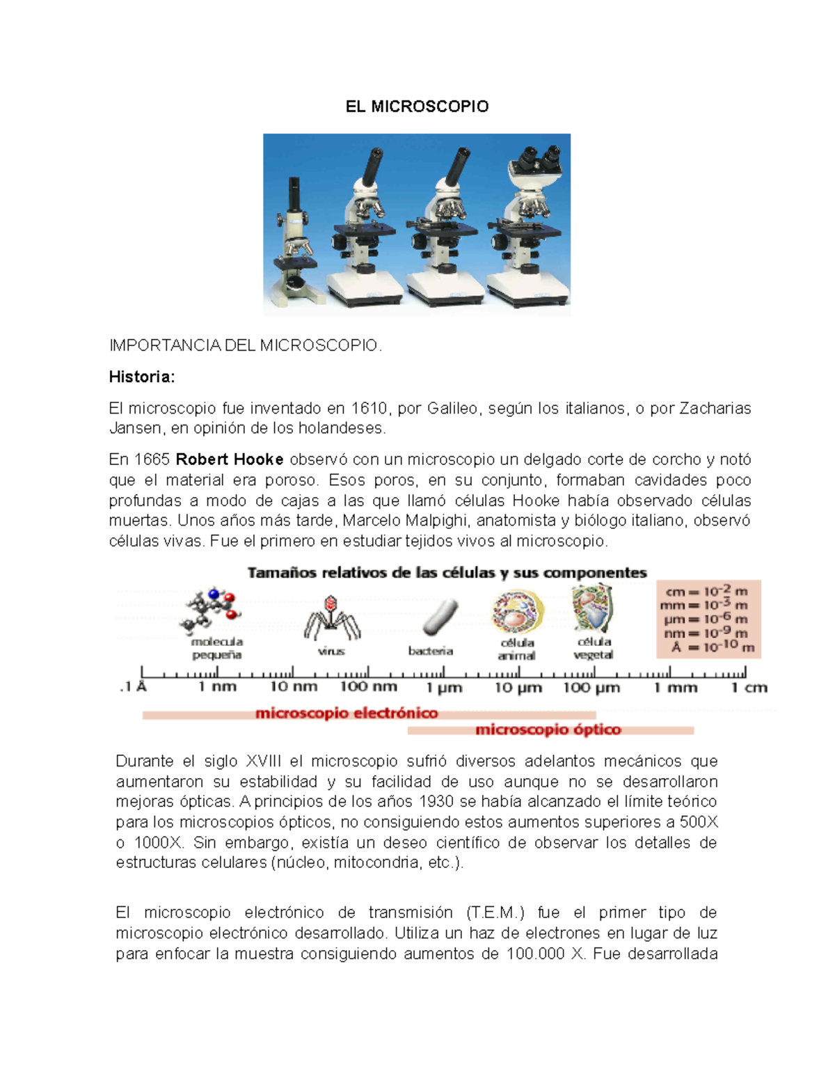 Guía 4 C.N 2023 - Grado 6: El Microscopio y Su Importancia - Studocu