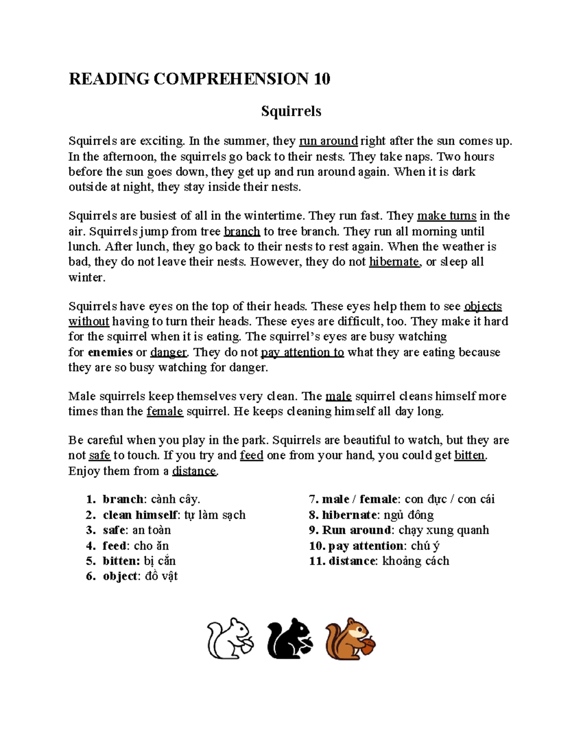 Reading Comprehension 10: Understanding Squirrels' Behavior - Studocu