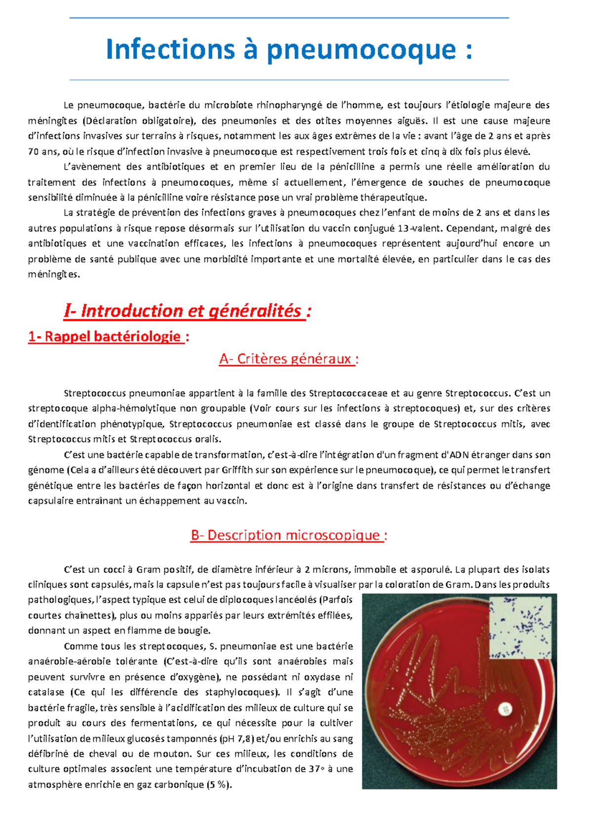 Notes de Cours sur les Infections à Pneumocoque: Détails et Études ...