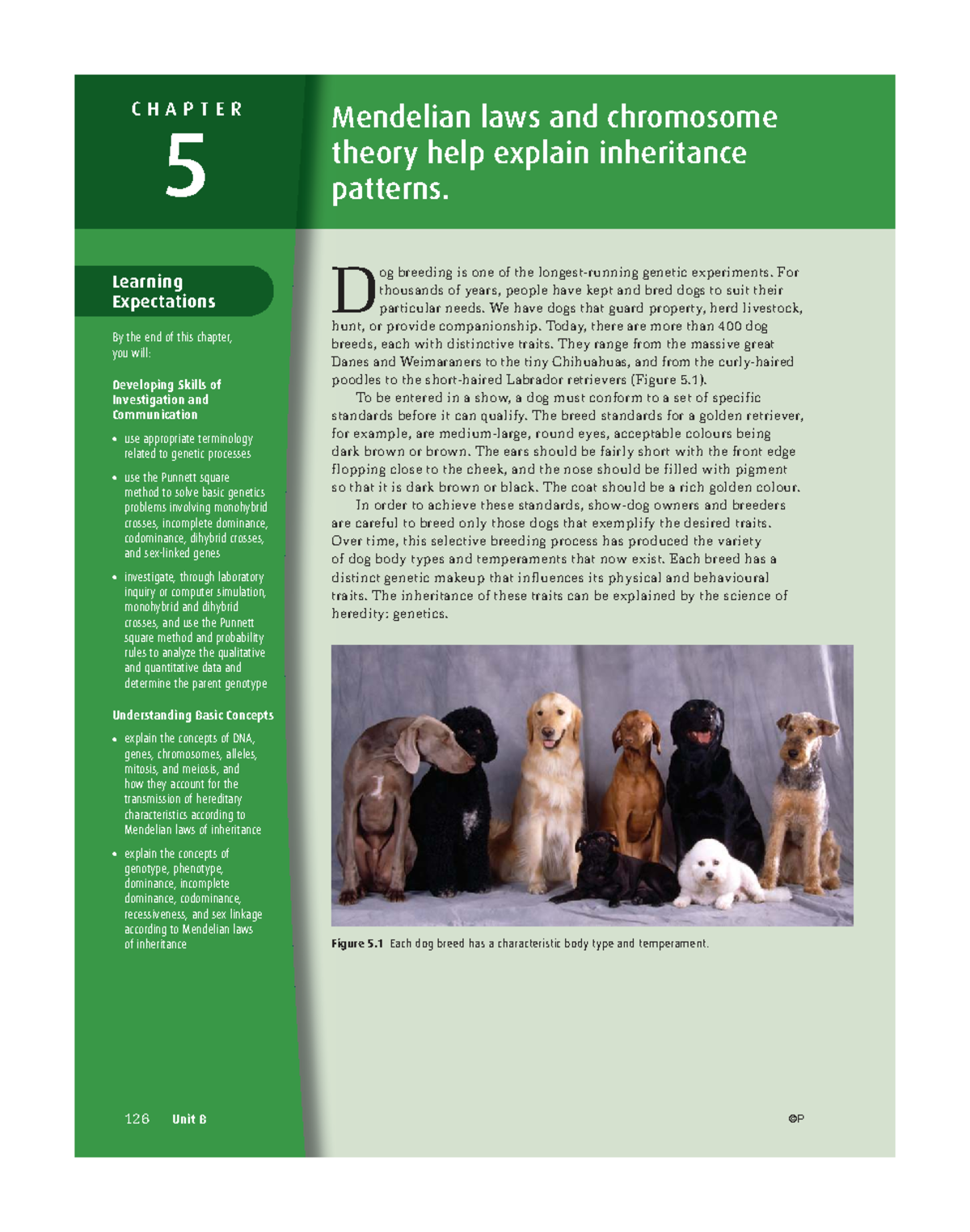 Chapter 5: Understanding Mendelian Genetics and Inheritance Patterns ...