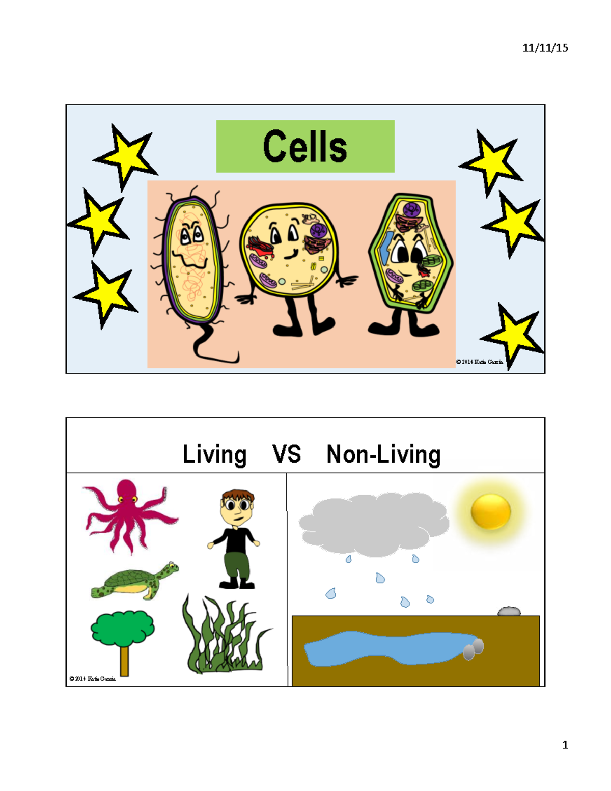 Cells 2014: Animal vs Plant Cell Comparison PPT Notes - Studocu