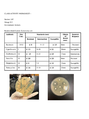 Class Activity 2 - soil agar plate - Class Activity # 2 Lab Title: Lab ...