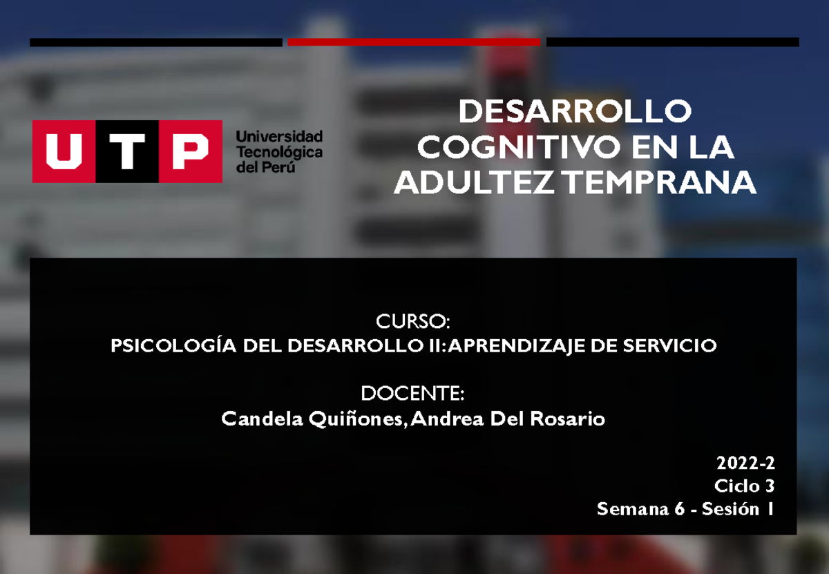 S06.s1. Desarrollo Cognitivo EN LA Adultez Temprana - DESARROLLO COGNITIVO EN LA ADULTEZ ...
