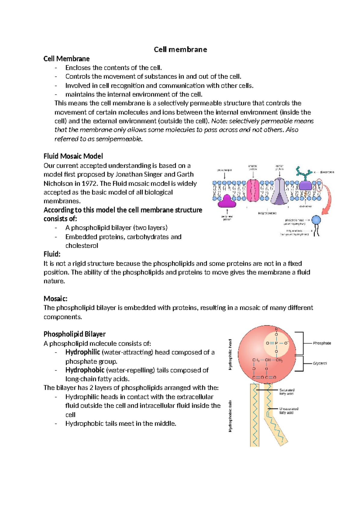 Cell Membrane: Structure, Function, and Fluid Mosaic Model - Studocu