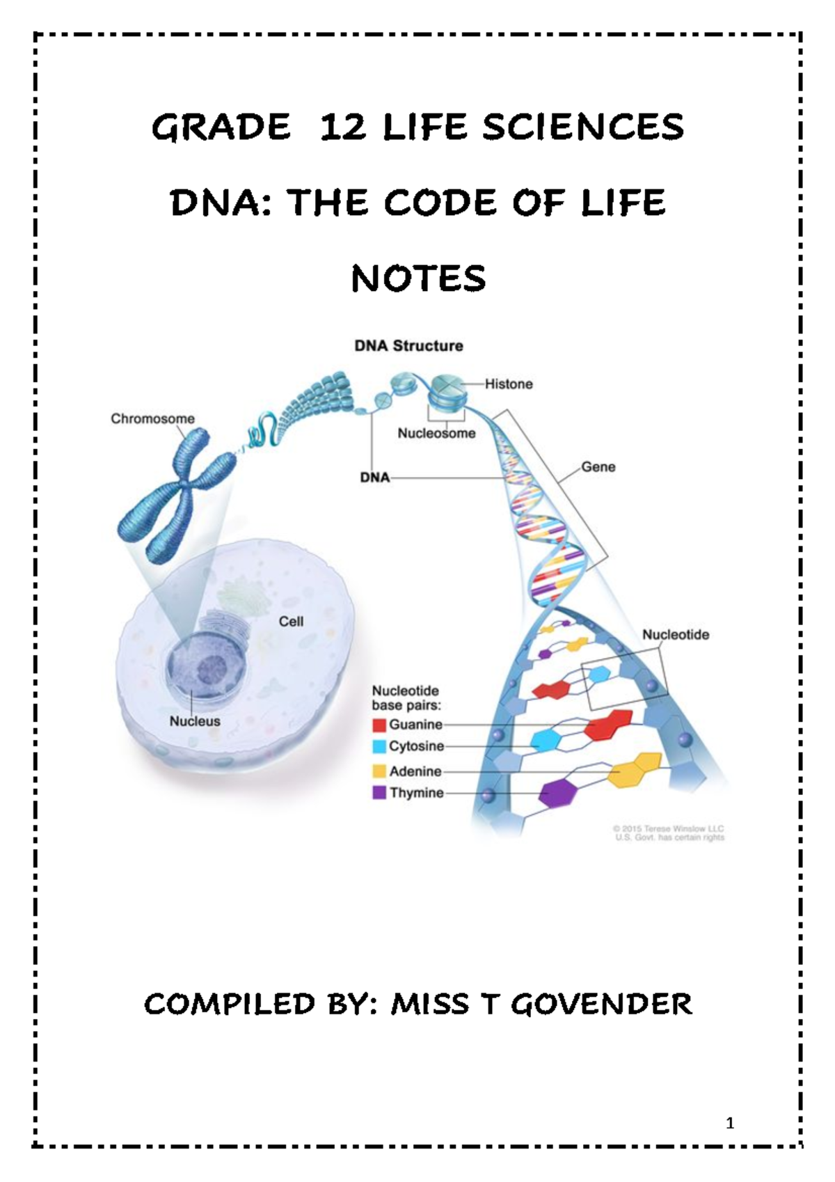 Grade 12 Life Sciences: DNA - The Code of Life Notes - Studocu