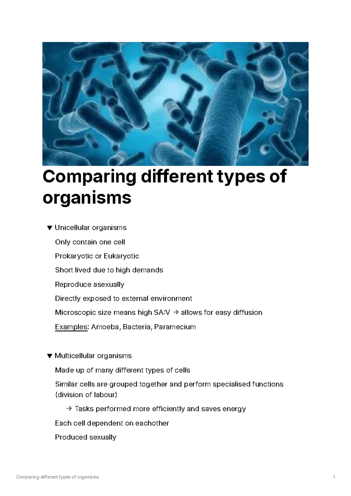 Comparing Unicellular and Multicellular Organisms: Key Concepts - Studocu