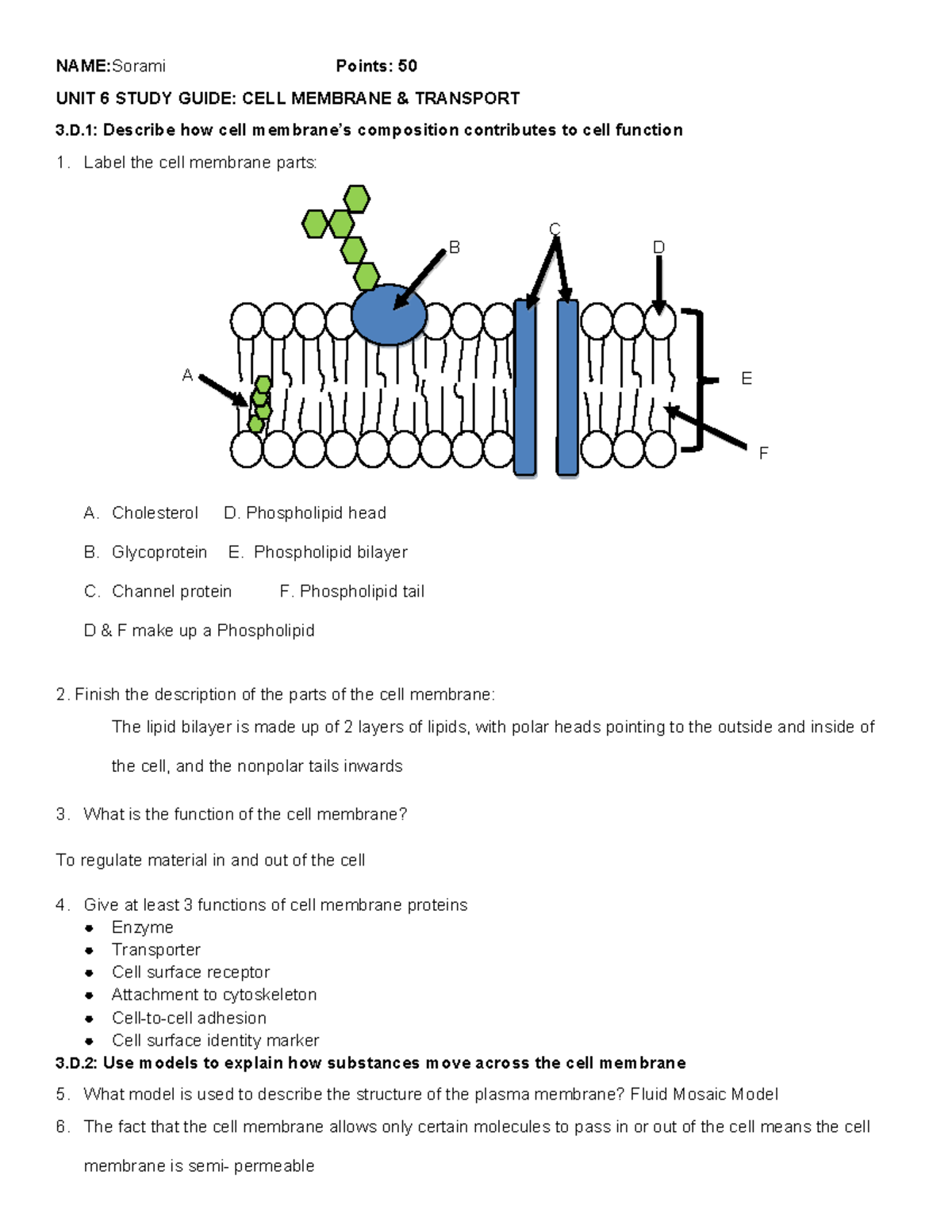 Unit 6 Study Guide: Cell Membrane Structure & Transport Mechanisms - NAME:Sorami Points: 50 UNIT ...