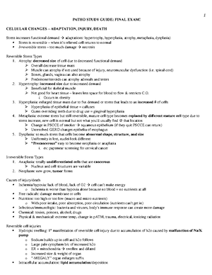 Pharmacy Technician Responsibilities & Regulations Guide (ExCPT Study ...