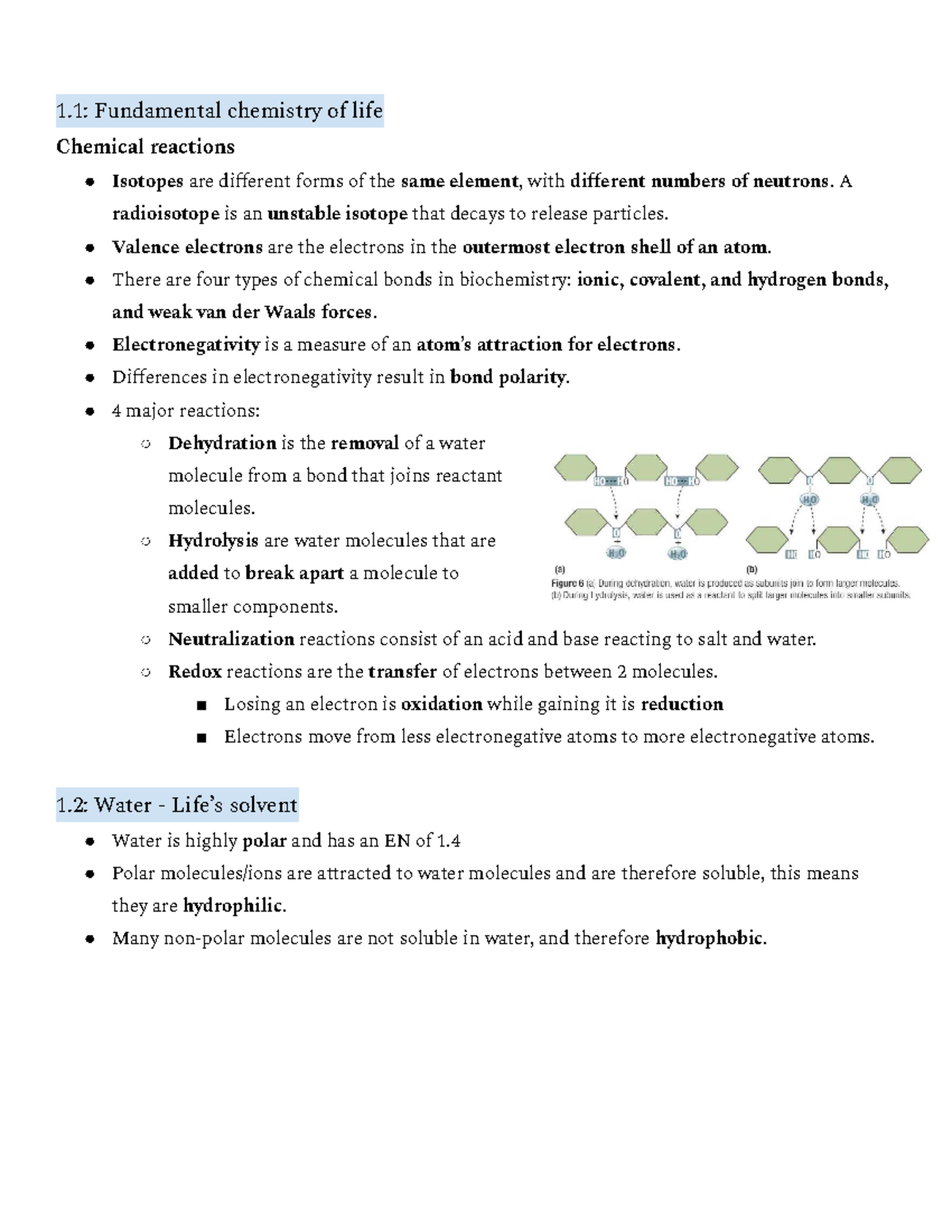 Unit 1: Biochemistry Overview - Ontario Biology 12 Notes - Studocu
