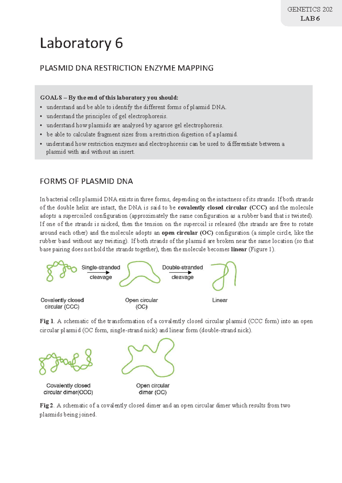GENETICS 202 LAB 6: Plasmid DNA Restriction Enzyme Mapping & Analysis ...