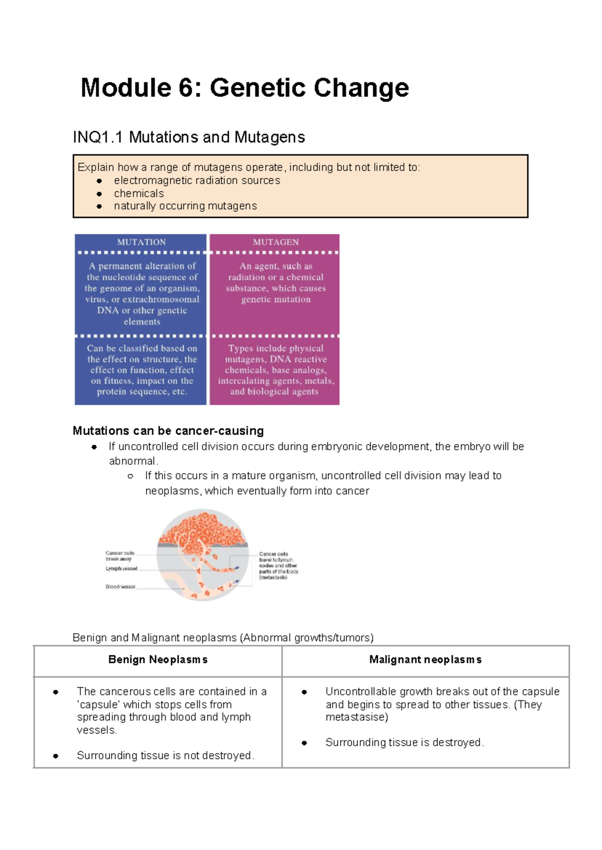 Module 6: Genetic Change INQ1.1 - Mutations and Their Effects - Studocu