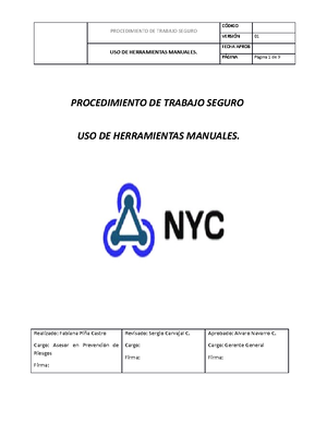 Acta IRL: Información de Riesgos Laborales para Analista Control ...