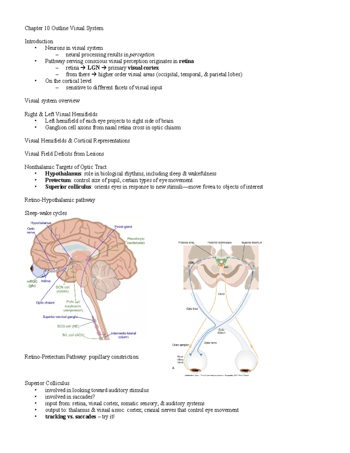 Chapter 10 Outline: Visual System and Cortical Processing - Chapter 10 ...