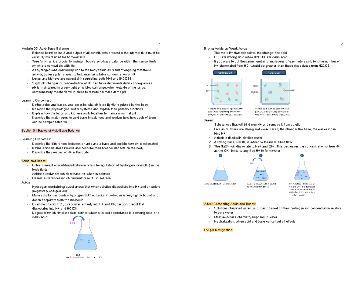 PHGY 216 Module 5: Acid-Base Balance Overview and Key Learning Points ...
