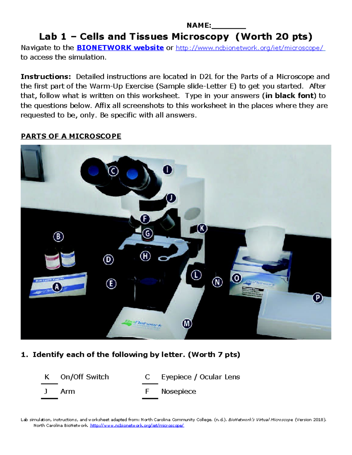 Lab 1 - Virtual Microscope Worksheet (FA24) - Cells & Tissues Guide ...