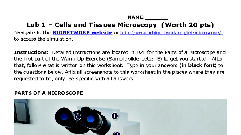 Lab 1 - Virtual Microscope Worksheet (FA24) - Cells & Tissues Guide ...