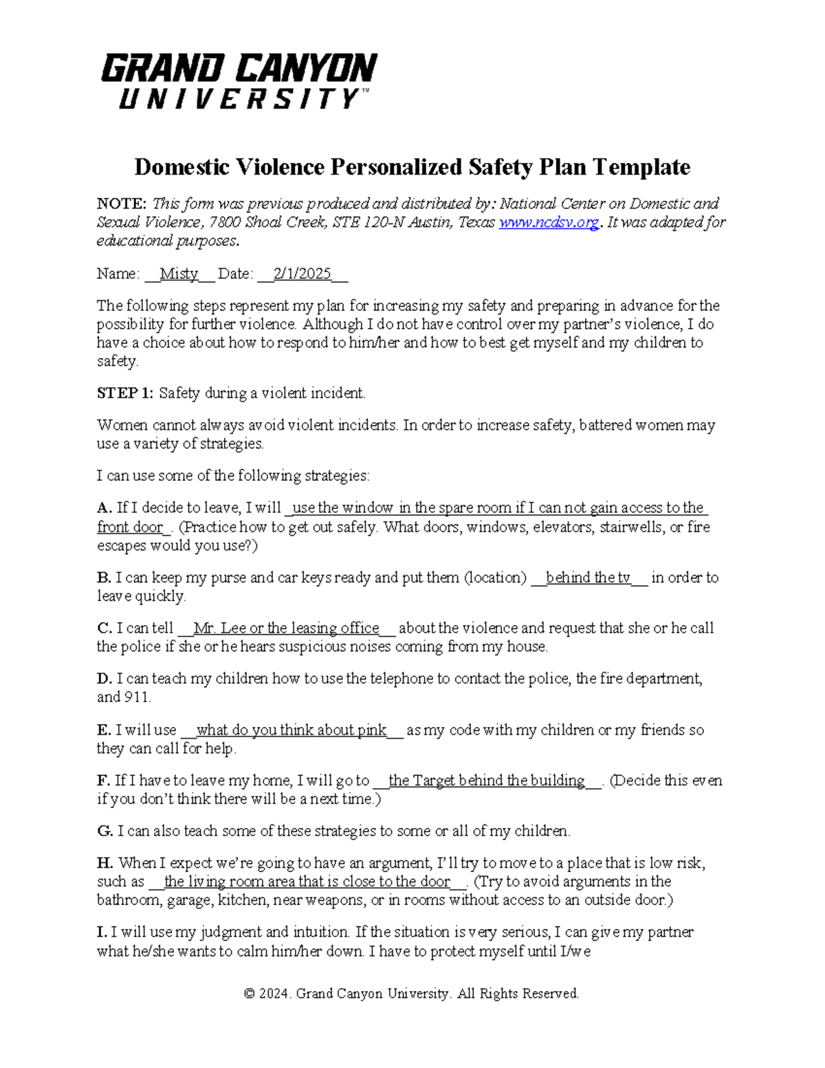BHS 440 RS T3 Personalized Safety Plan for Domestic Violence - Studocu