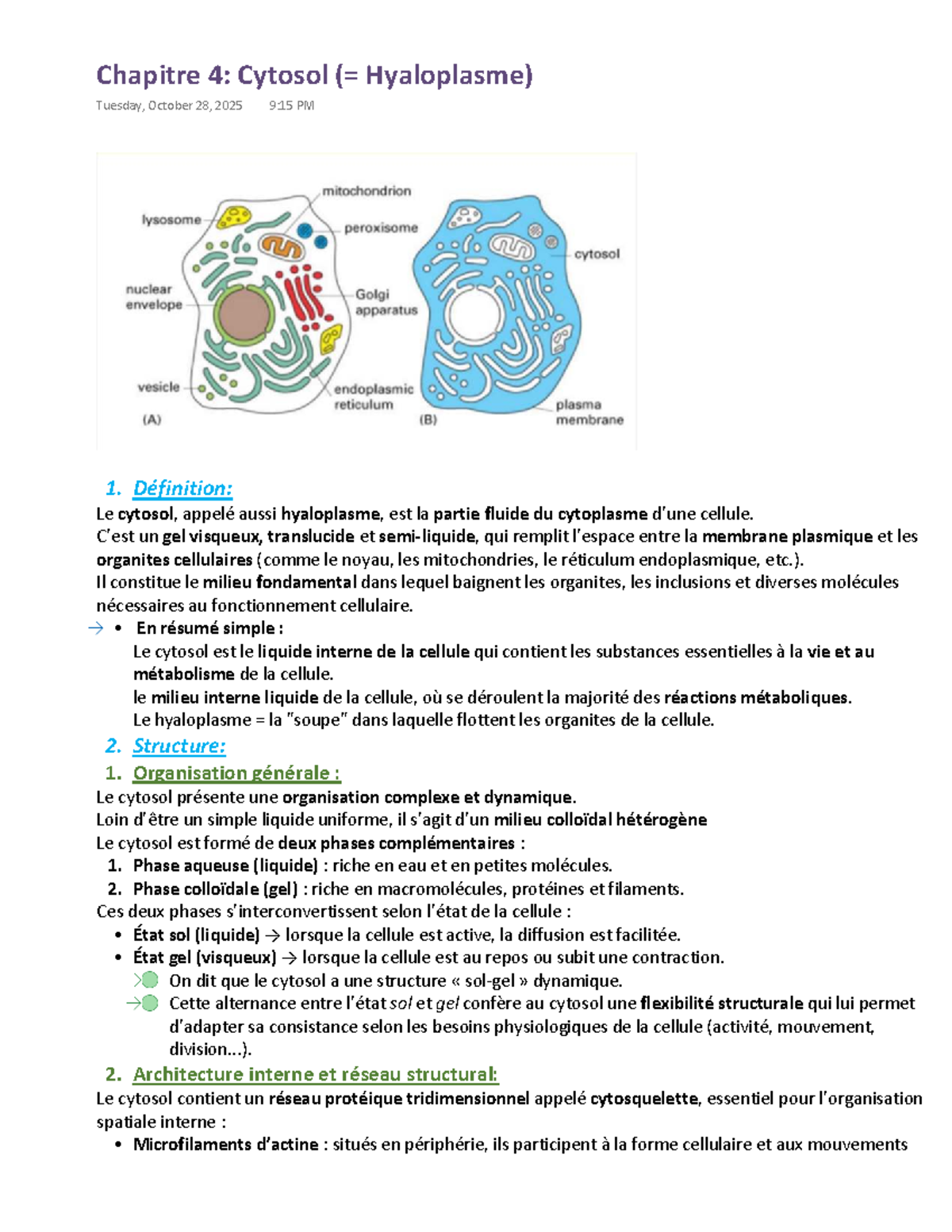 Chapitre 4: Cytosol (Hyaloplasme) - Structure et Fonctions Cellulaires ...