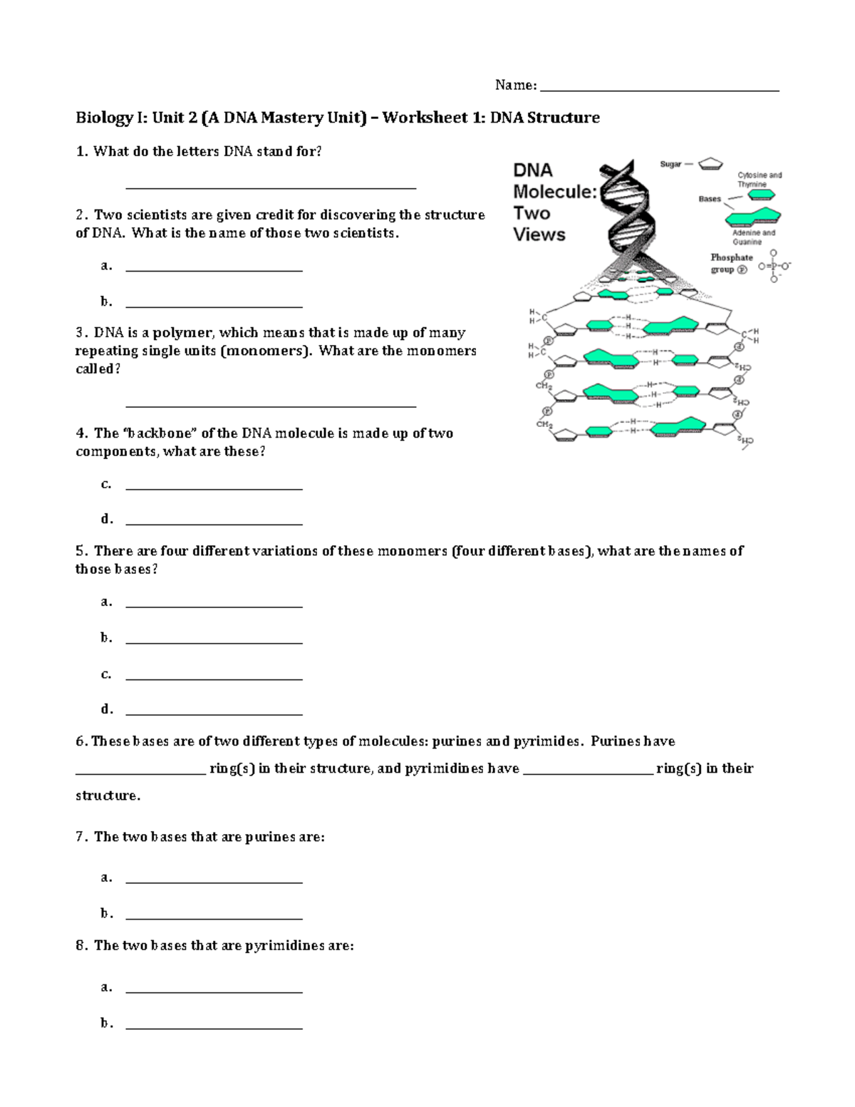 Topic 1 - DNA Structure Activity - Name ...