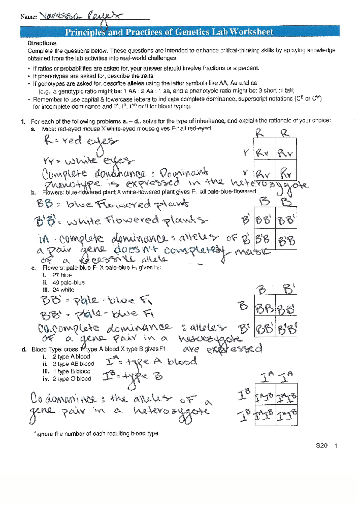 Principles and Practices of Genetics Lab Worksheet (Genetics Wkshp ...
